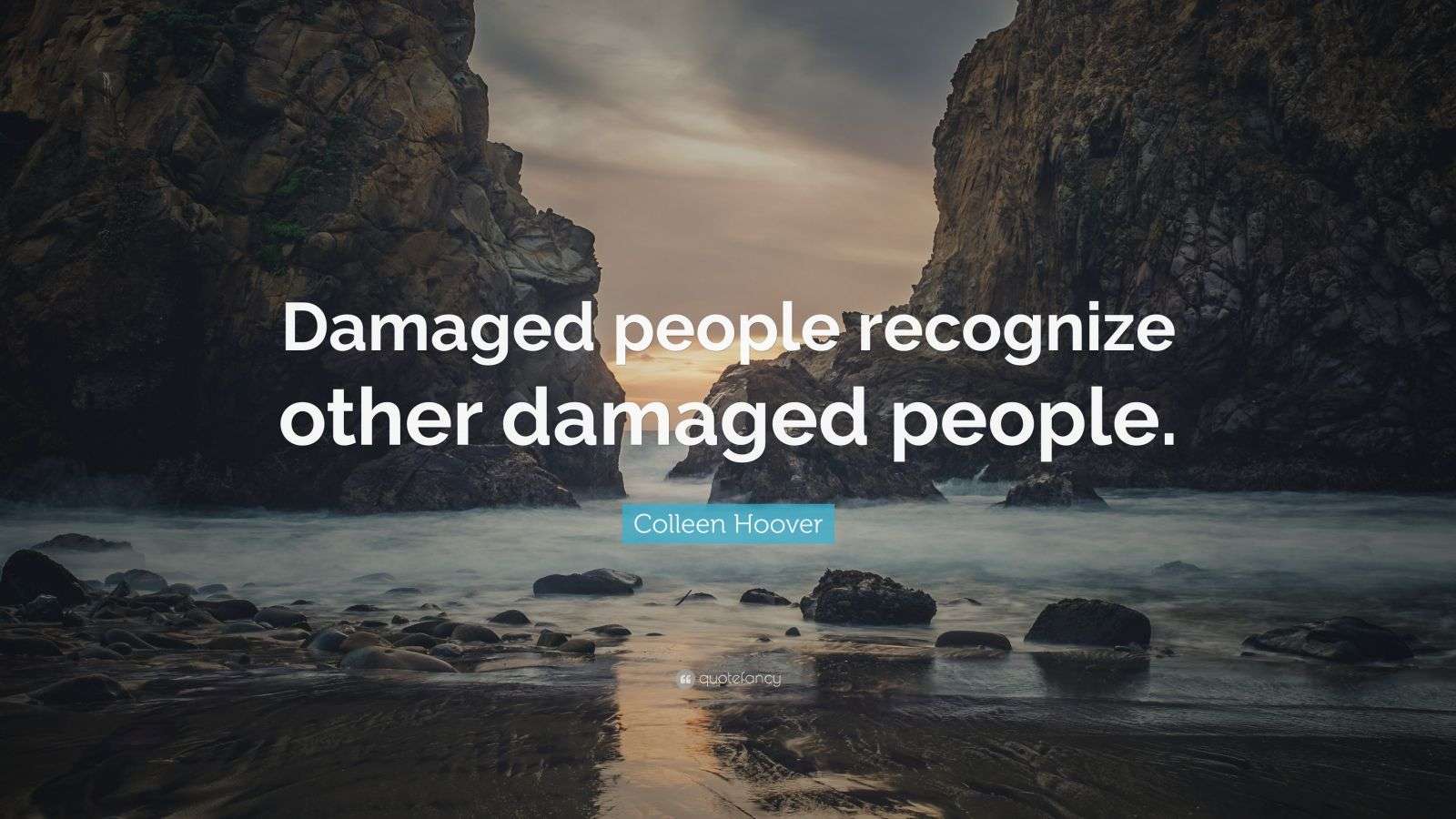 Colleen Hoover Quote: “Damaged people recognize other damaged people.”