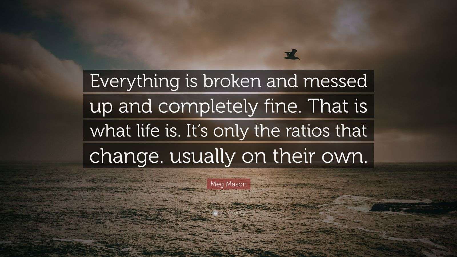 Meg Mason Quote: “Everything is broken and messed up and completely fine. That is what life is ...