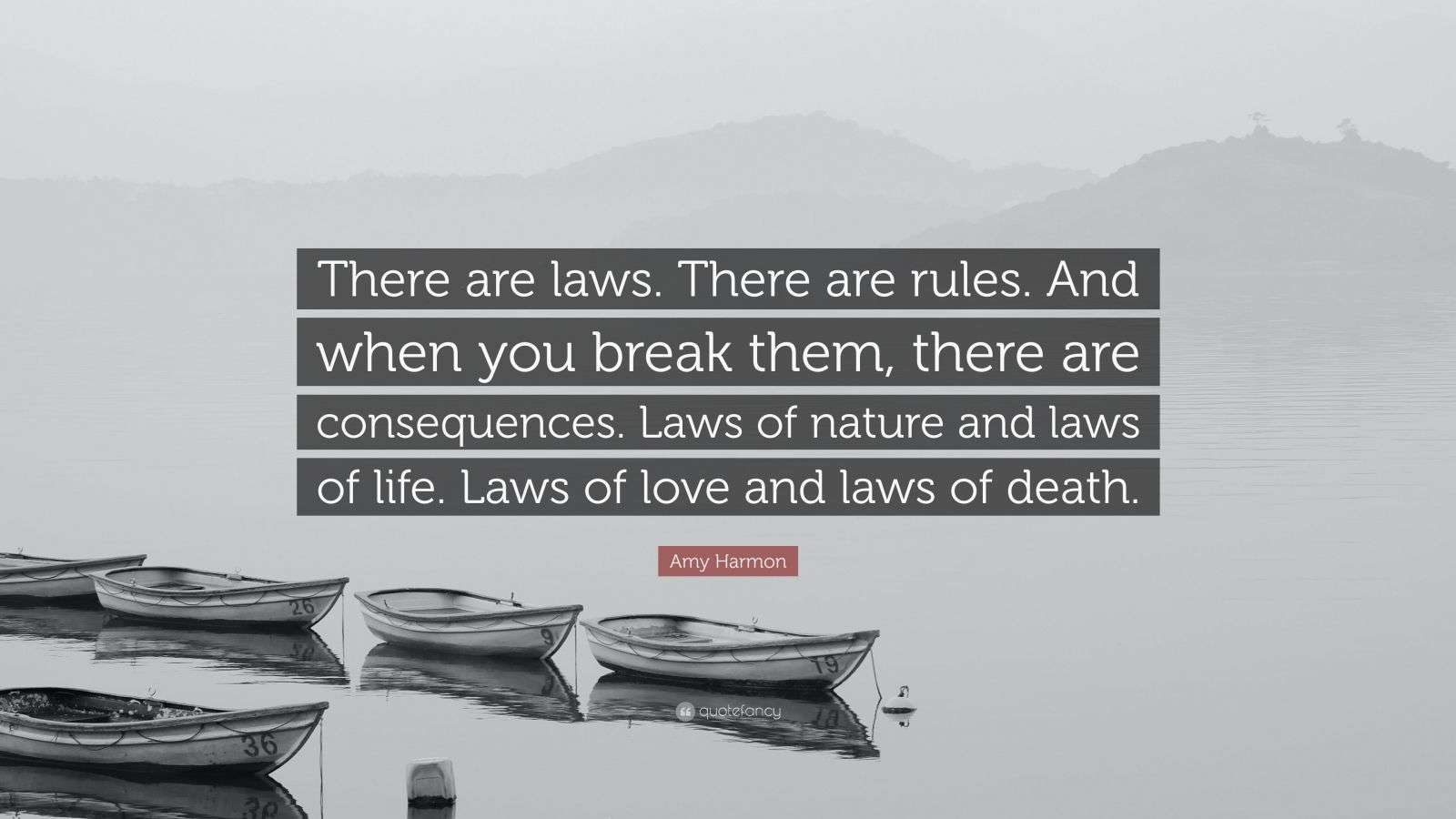 Amy Harmon Quote: “There are laws. There are rules. And when you break ...