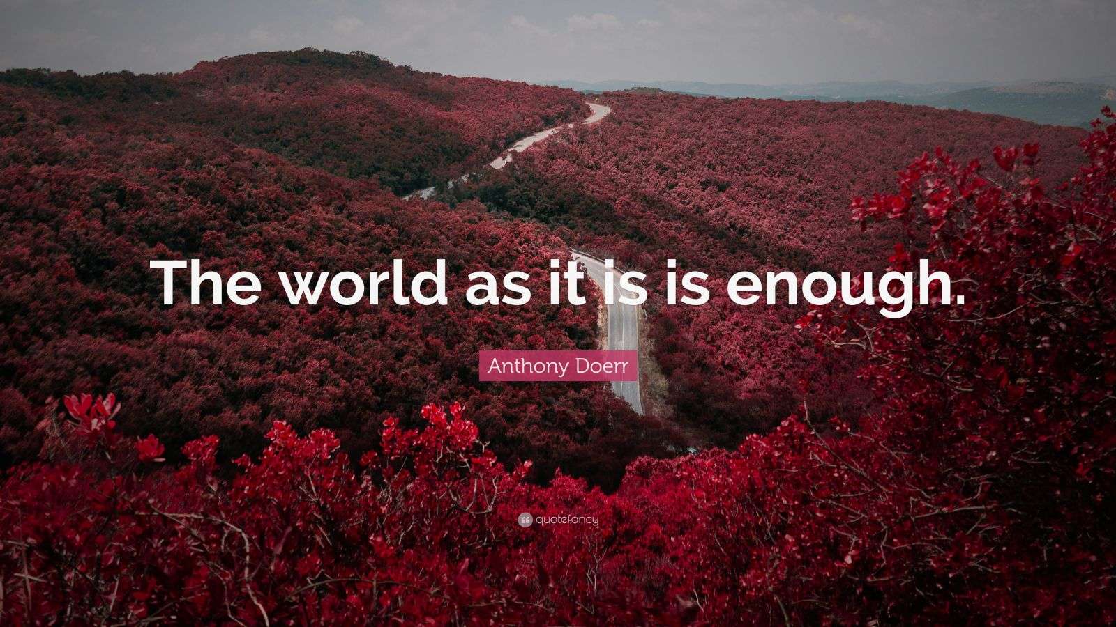 Anthony Doerr Quote: “The world as it is is enough.”