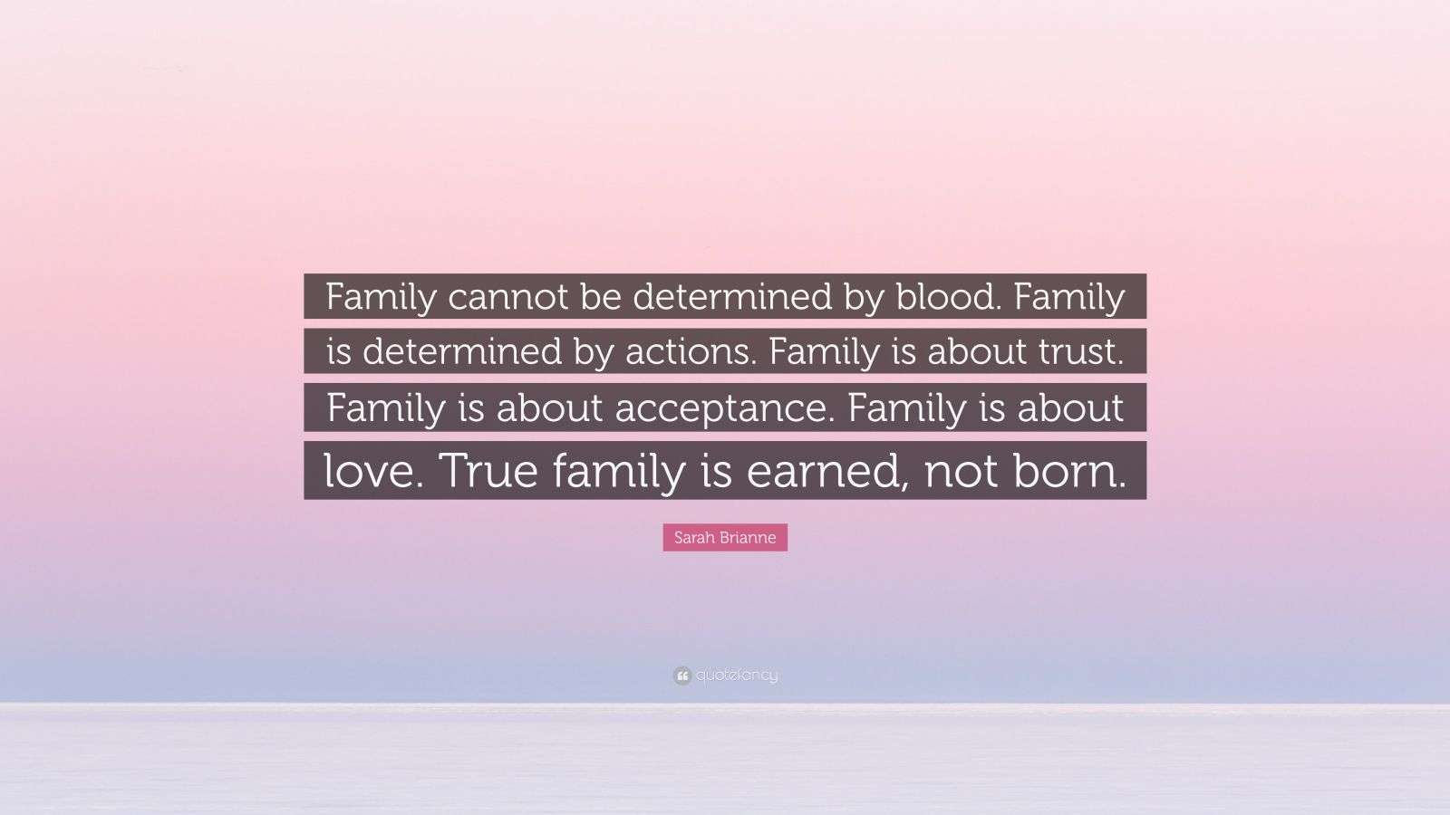 Sarah Brianne Quote: “Family cannot be determined by blood. Family is ...