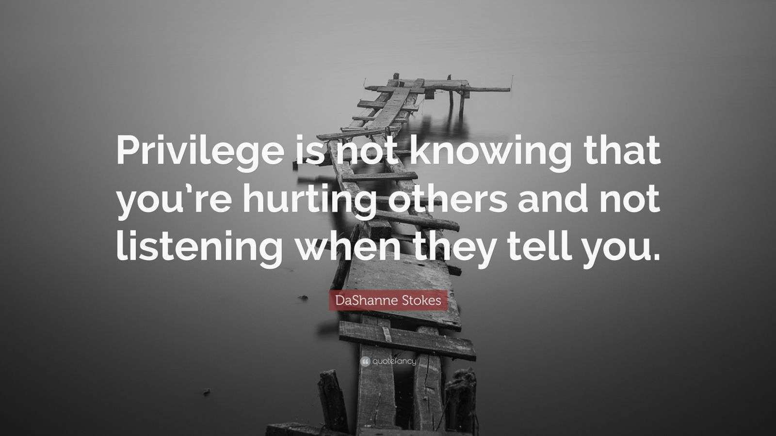 DaShanne Stokes Quote: “Privilege is not knowing that you’re hurting ...