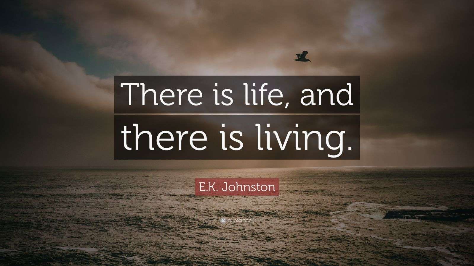 E.K. Johnston Quote: “There is life, and there is living.”
