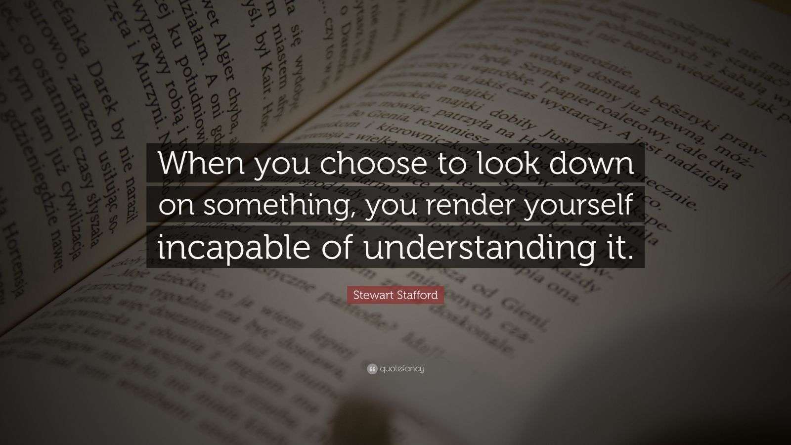 Stewart Stafford Quote: “When you choose to look down on something, you ...