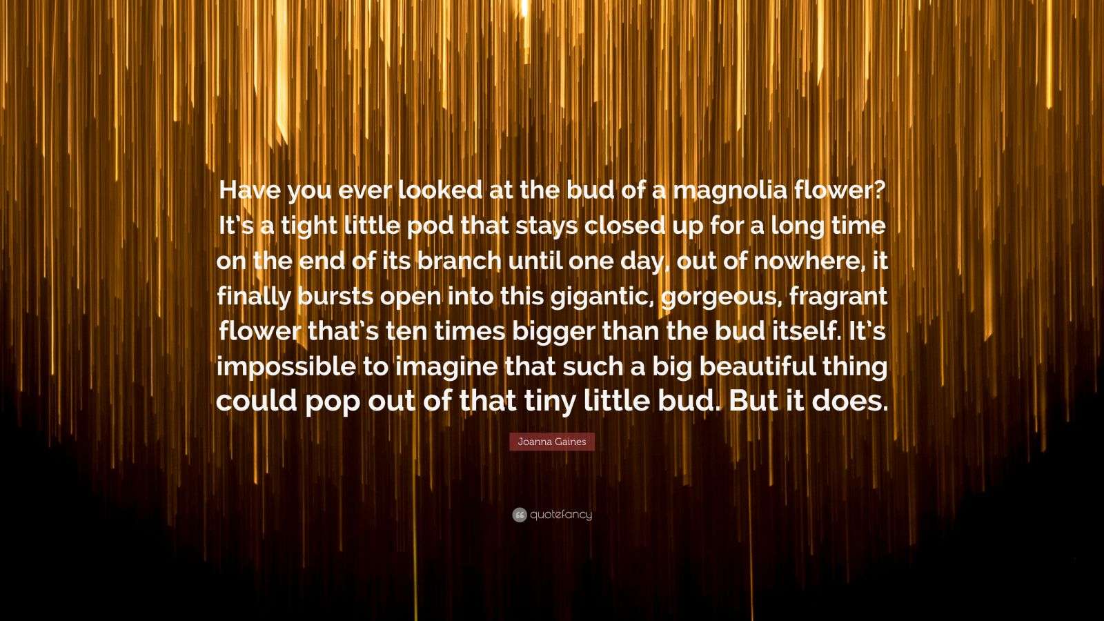 Joanna Gaines Quote: “Have you ever looked at the bud of a magnolia ...