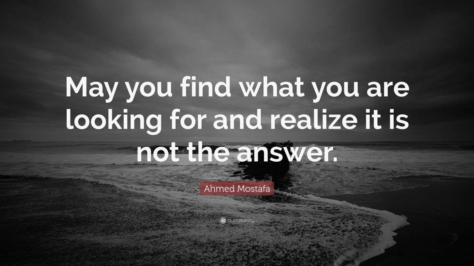 Ahmed Mostafa Quote: “May you find what you are looking for and realize ...