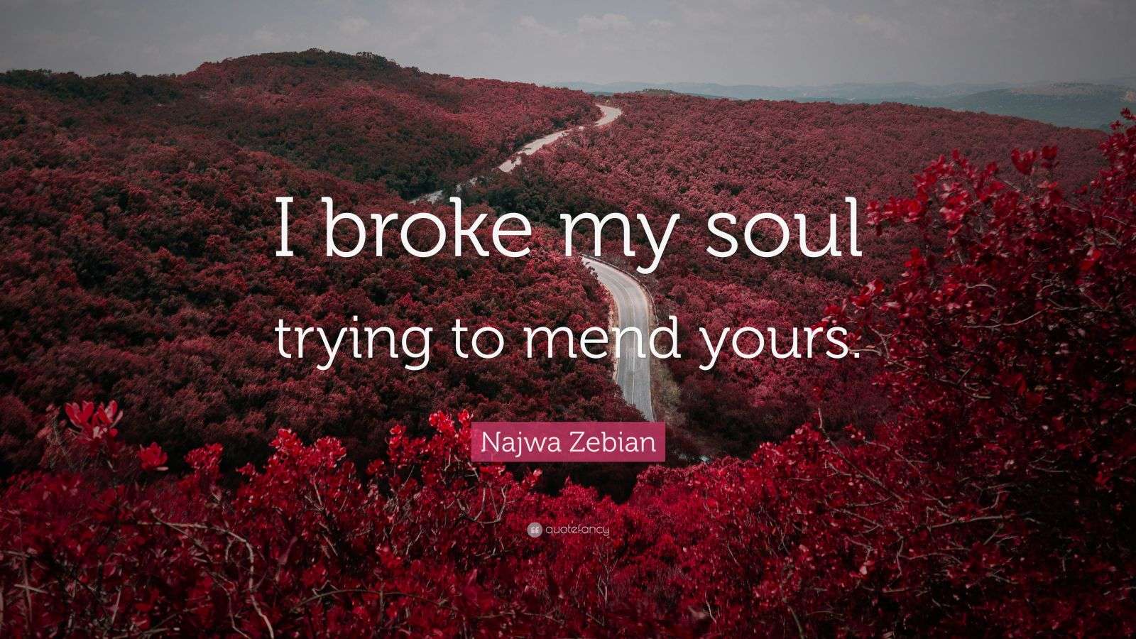Najwa Zebian Quote: “I broke my soul trying to mend yours.”