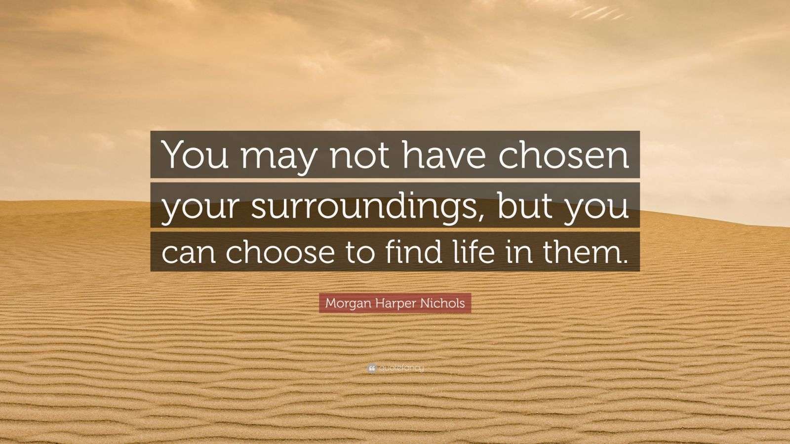 Morgan Harper Nichols Quote “you May Not Have Chosen Your Surroundings