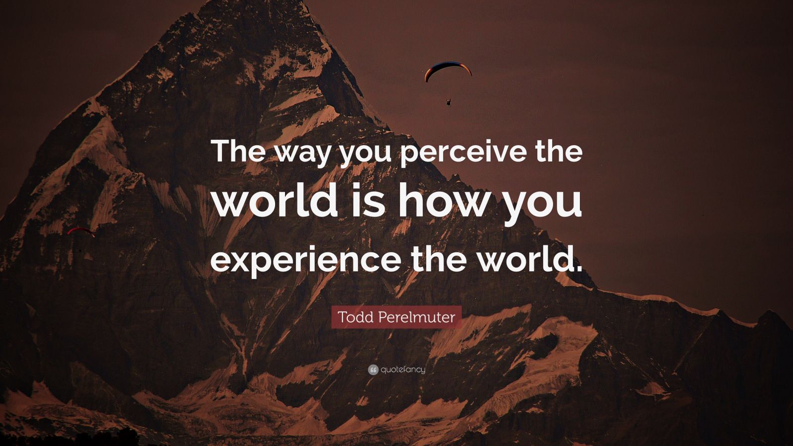 Todd Perelmuter Quote: “The way you perceive the world is how you experience the world.”