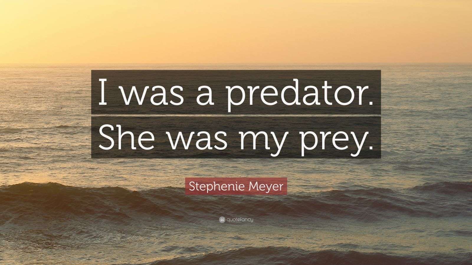 Stephenie Meyer Quote: “I was a predator. She was my prey.”