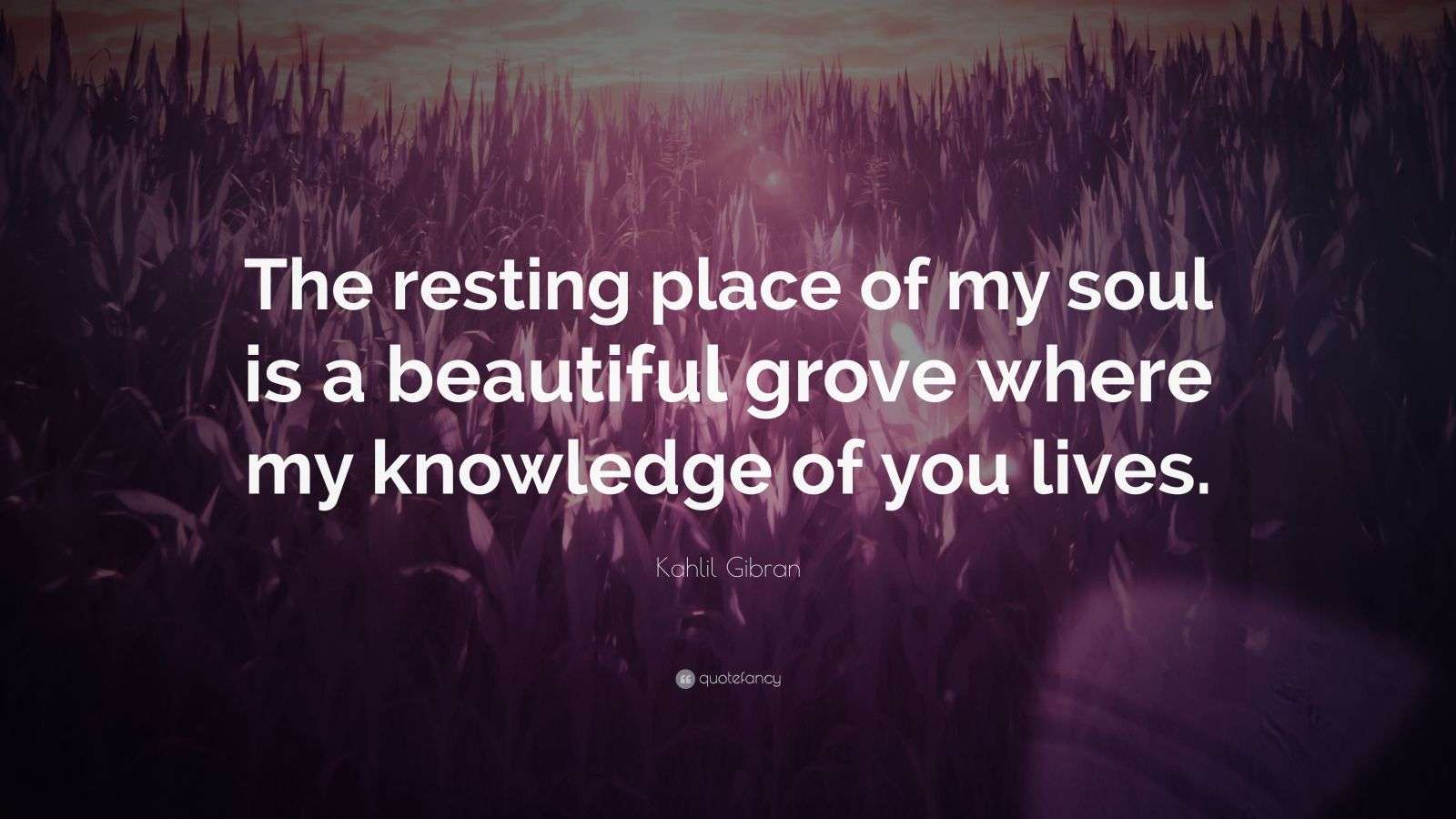 Kahlil Gibran Quote: “The resting place of my soul is a beautiful grove where my knowledge of ...