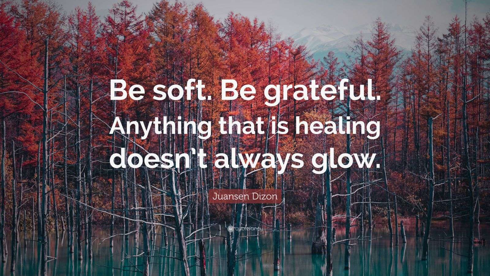Juansen Dizon Quote: “Be soft. Be grateful. Anything that is healing ...