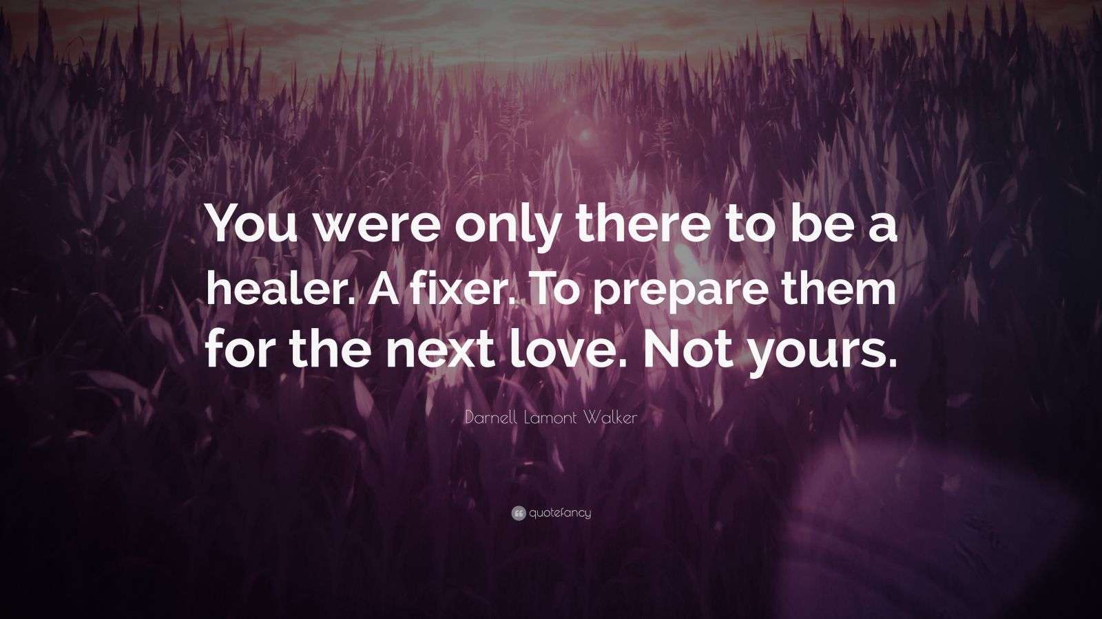 Darnell Lamont Walker Quote: “You were only there to be a healer. A ...