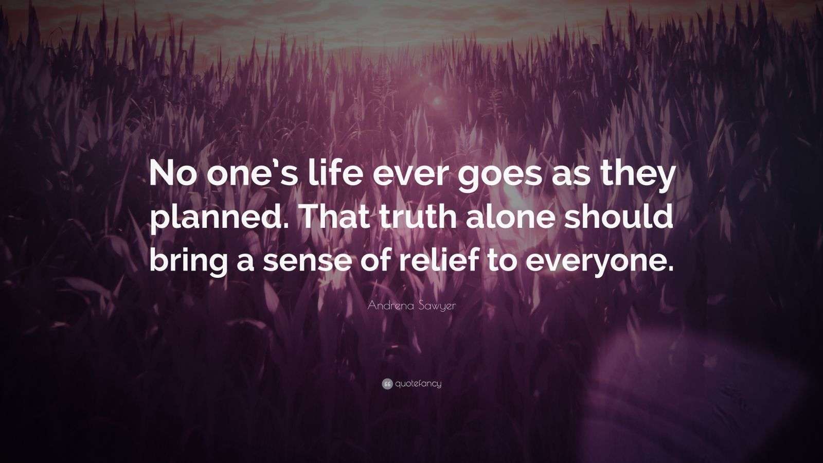 Andrena Sawyer Quote: “No one’s life ever goes as they planned. That ...