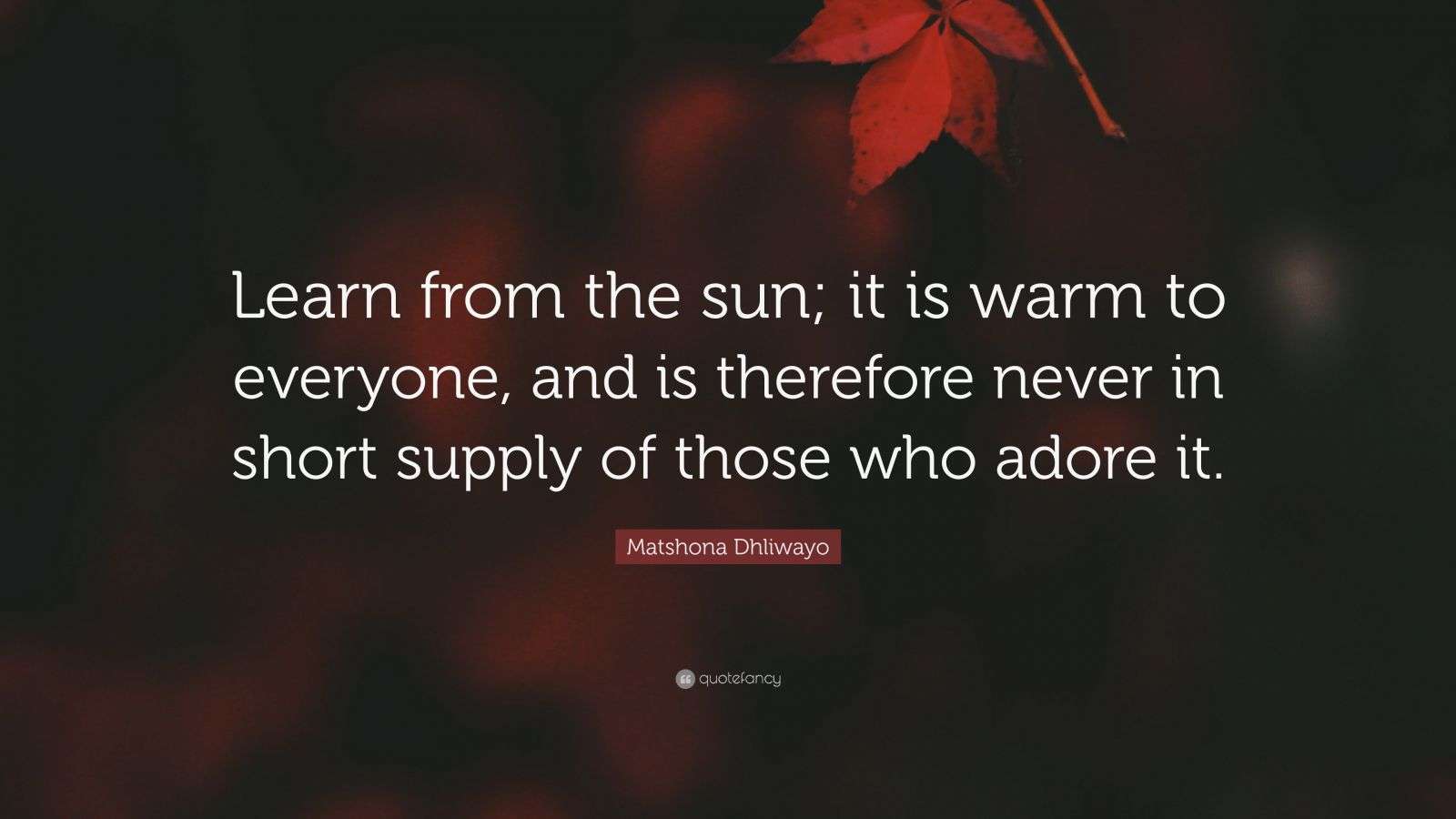 Matshona Dhliwayo Quote: “Learn from the sun; it is warm to everyone ...