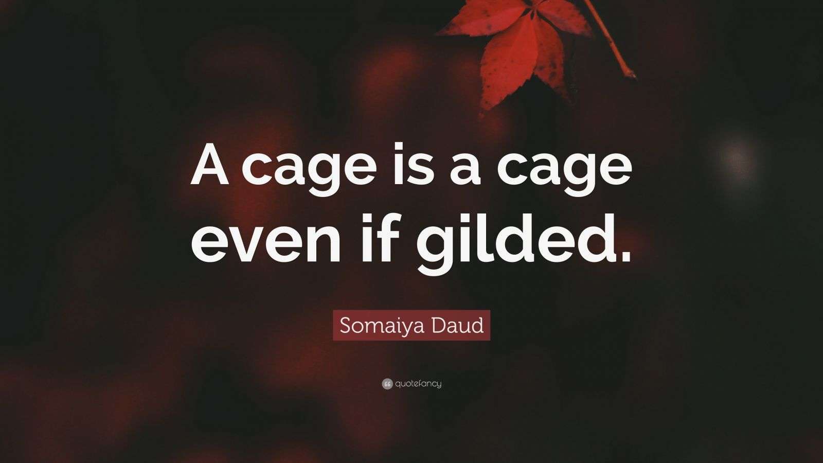 Somaiya Daud Quote: “A cage is a cage even if gilded.”