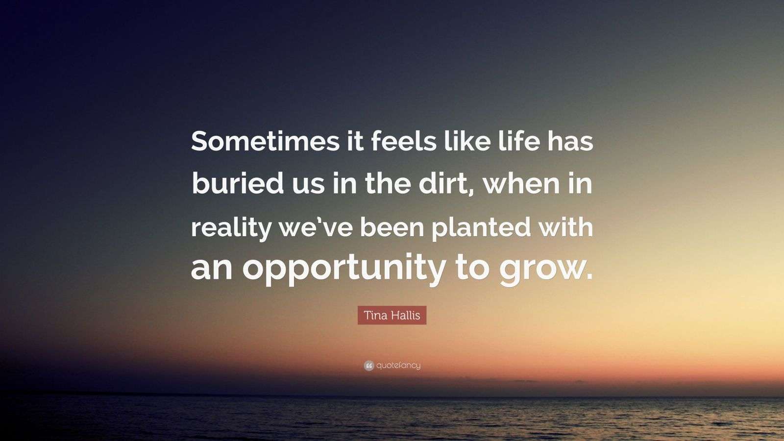 Tina Hallis Quote: “Sometimes it feels like life has buried us in the ...