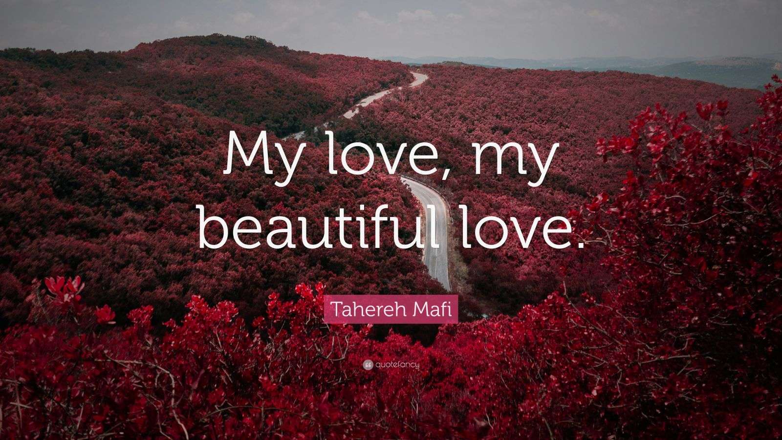 Tahereh Mafi Quote: “My love, my beautiful love.”