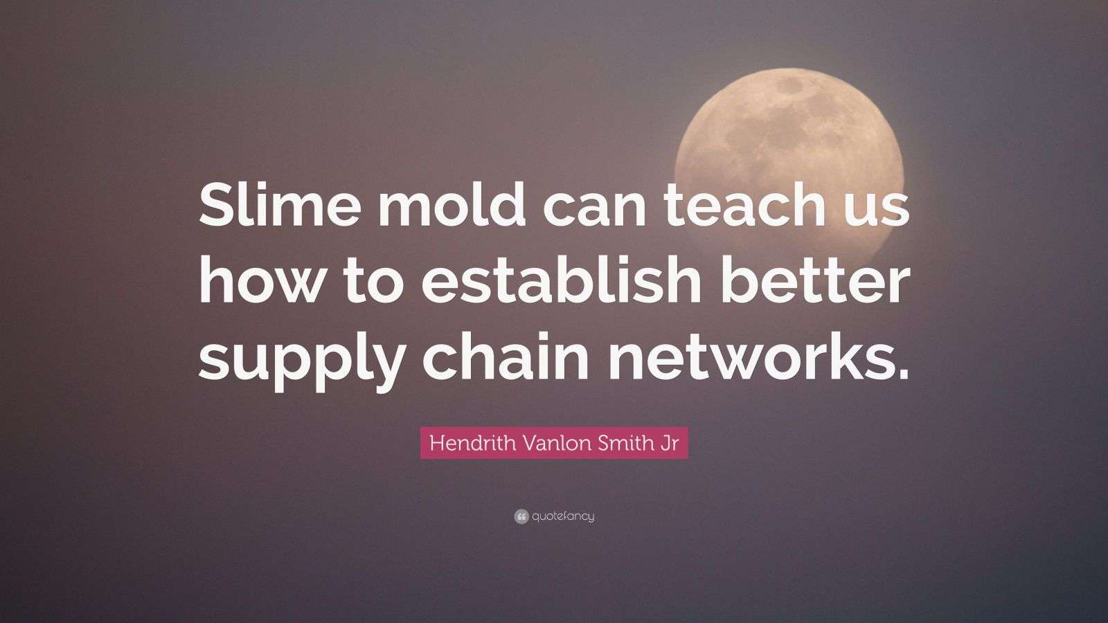 Hendrith Vanlon Smith Jr Quote: “Slime mold can teach us how to establish better supply chain ...