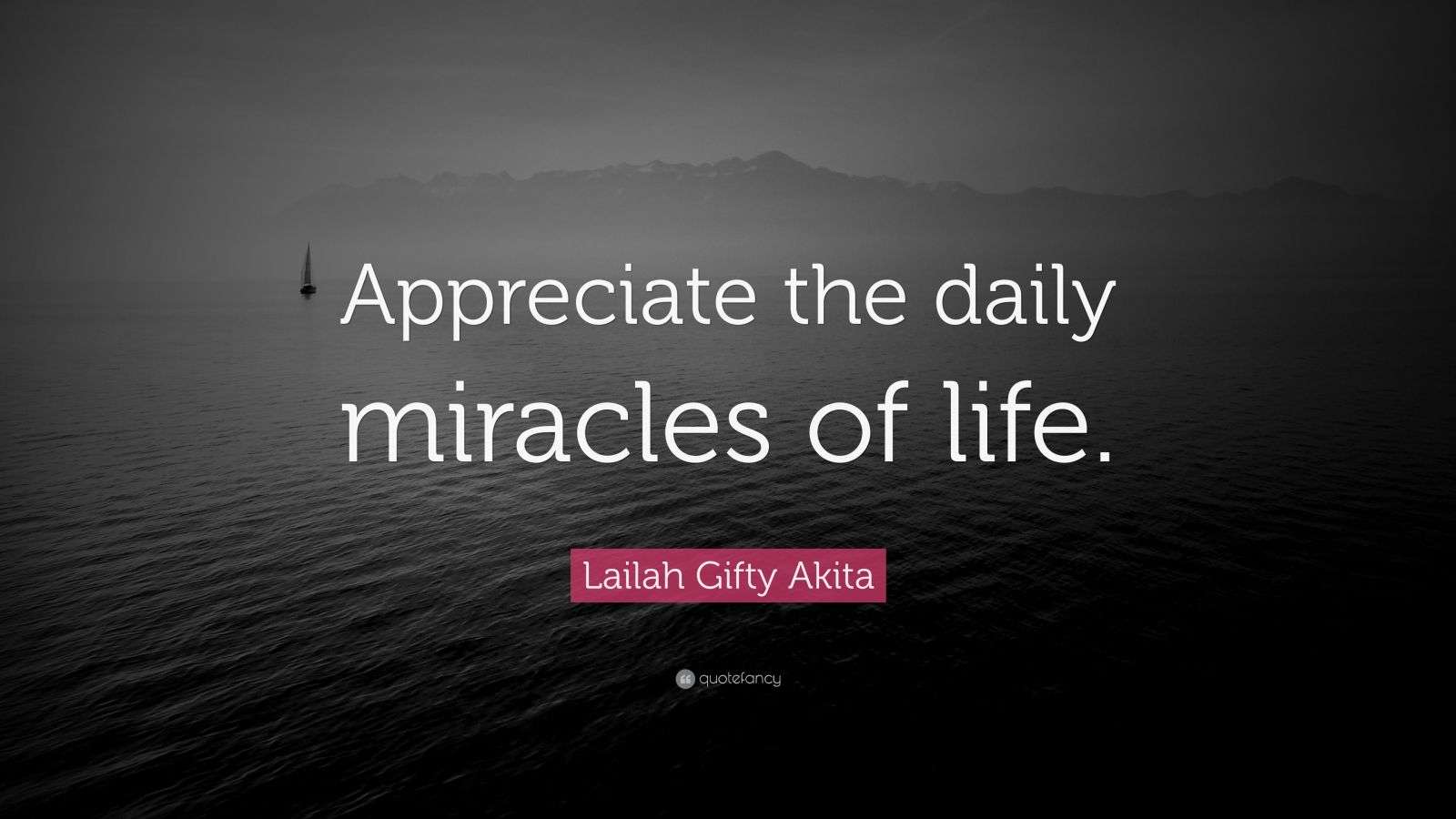 Lailah Gifty Akita Quote: “Appreciate the daily miracles of life.”