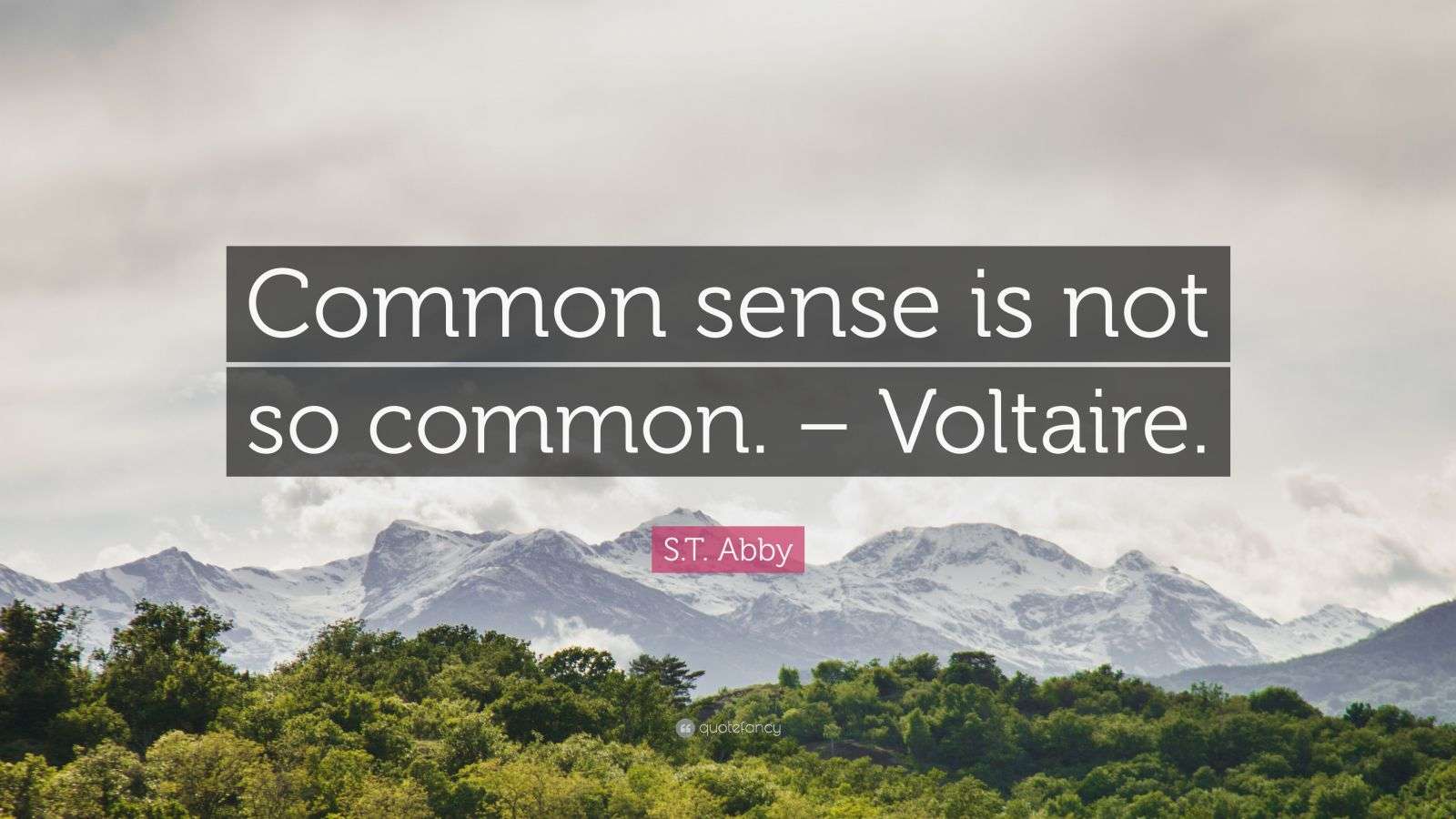 S.T. Abby Quote: “Common sense is not so common. – Voltaire.”