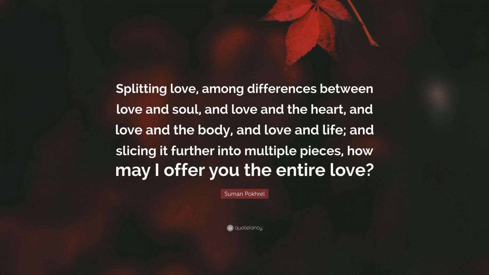 Suman Pokhrel Quote: “Splitting love, among differences between love ...