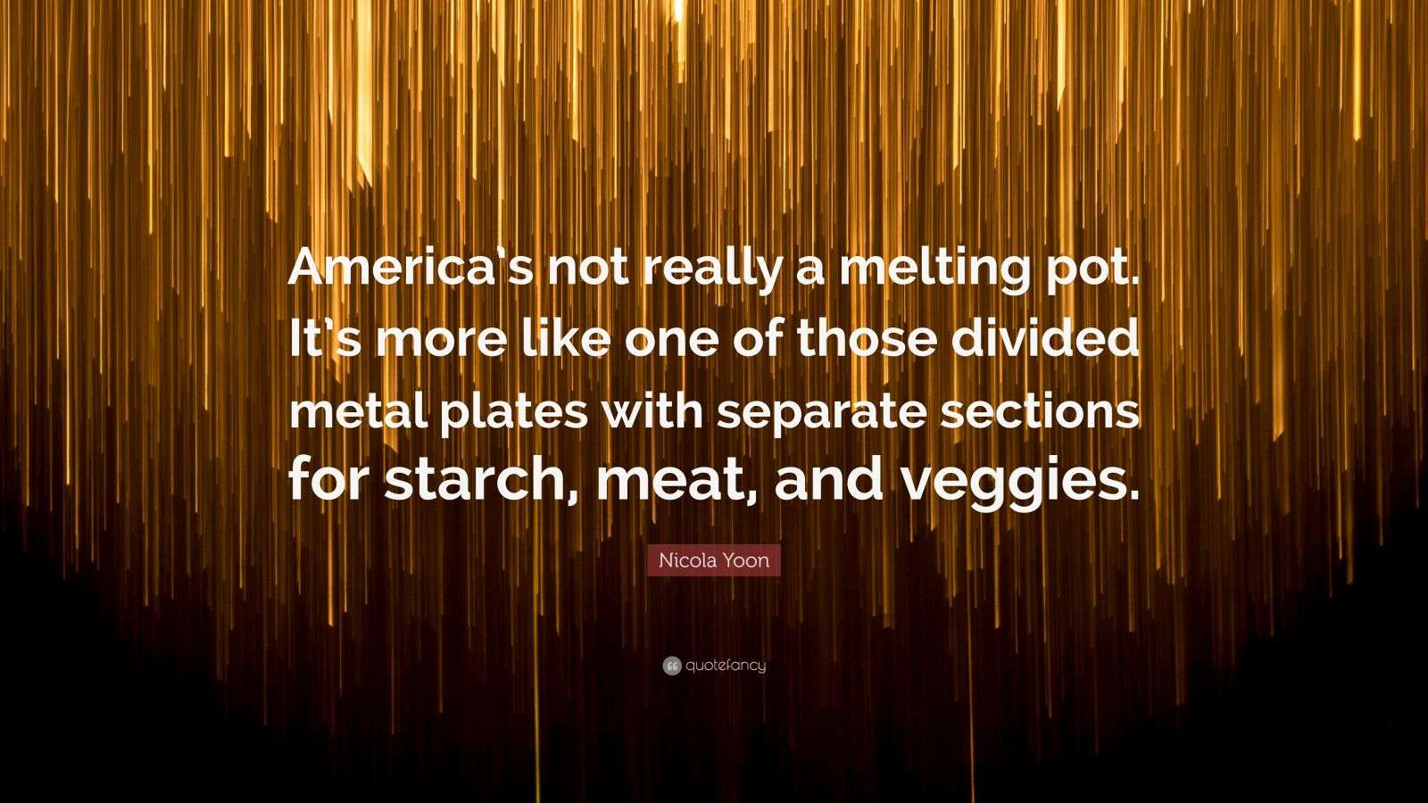 Nicola Yoon Quote: “America’s not really a melting pot. It’s more like ...