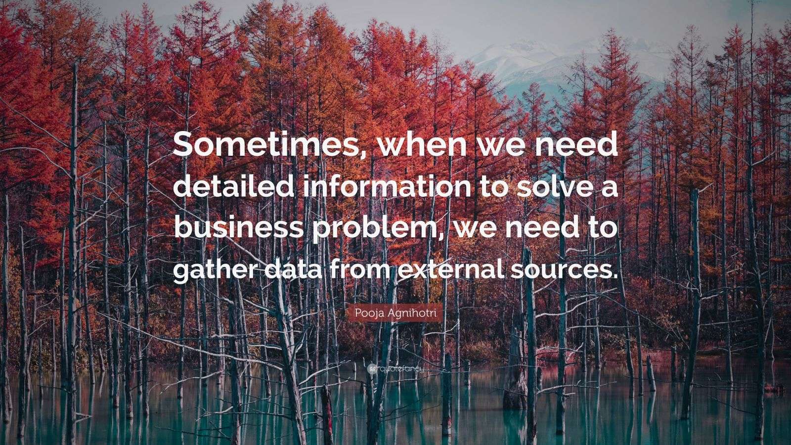 Pooja Agnihotri Quote: “Sometimes, when we need detailed information to ...