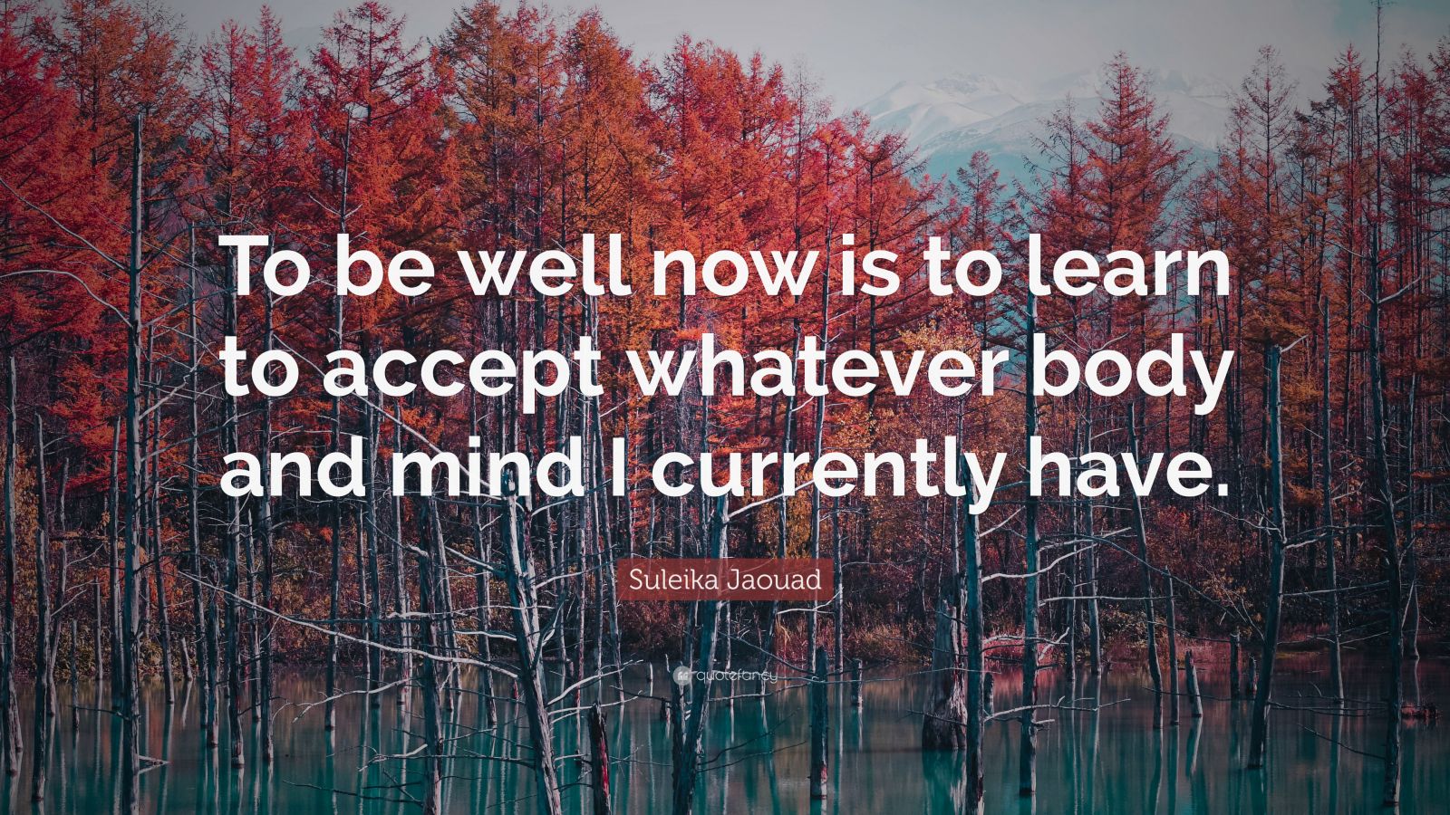 Top 60 Suleika Jaouad Quotes (2025 Update) - QuoteFancy