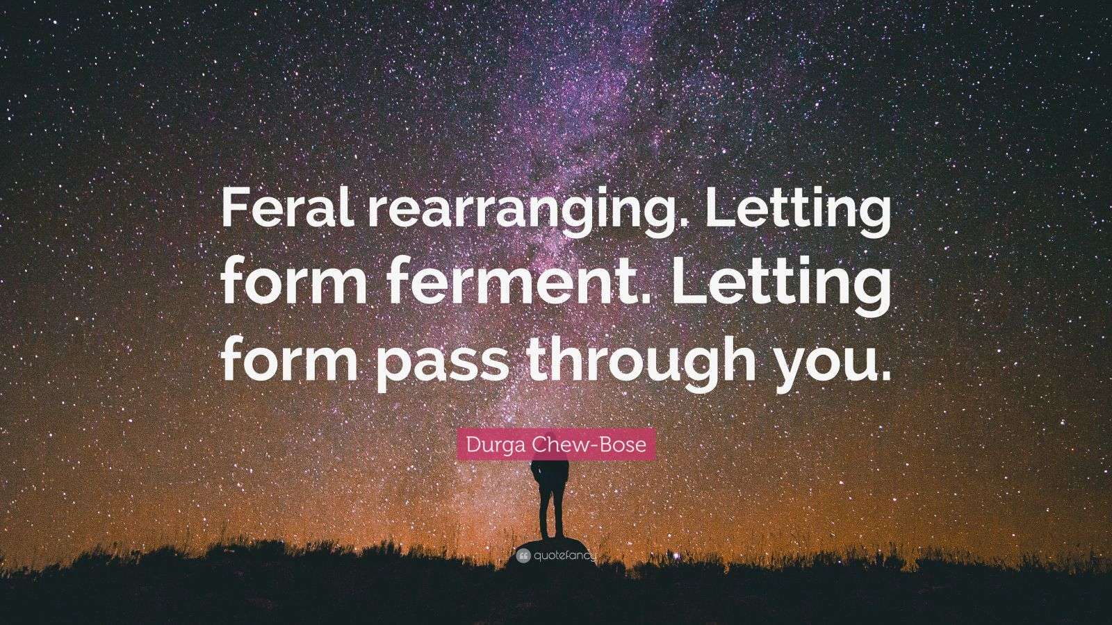 Durga Chew-Bose Quote: “Feral rearranging. Letting form ferment ...
