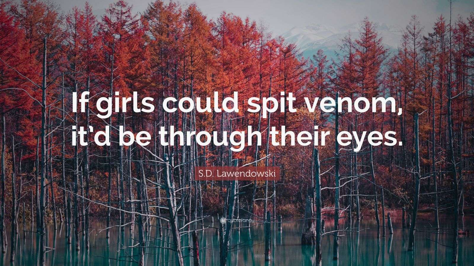 S.D. Lawendowski Quote: “If girls could spit venom, it’d be through ...