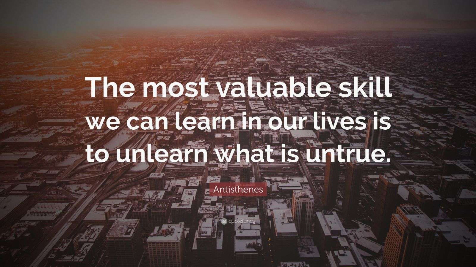 Antisthenes Quote: “The most valuable skill we can learn in our lives ...