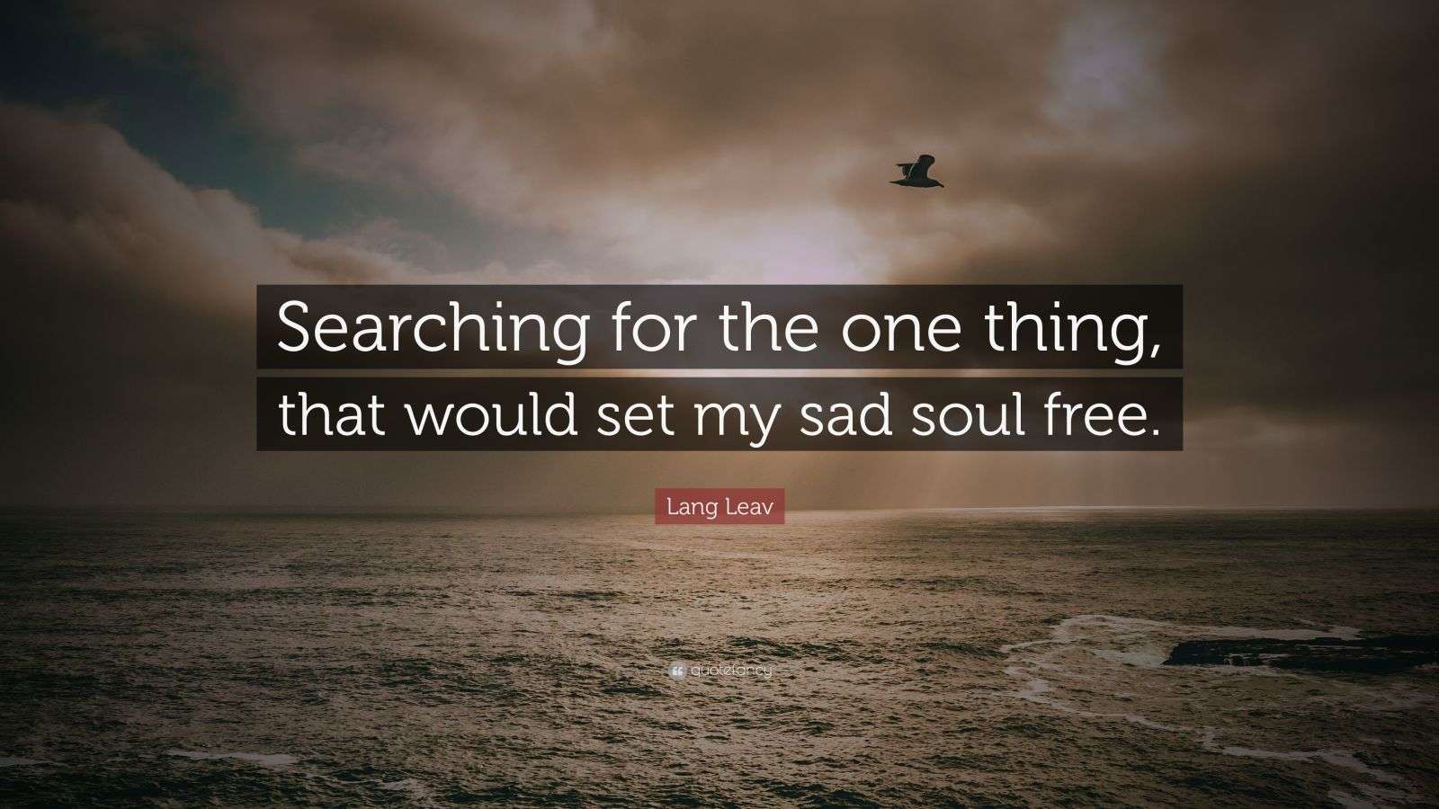 Lang Leav Quote: “Searching for the one thing, that would set my sad ...