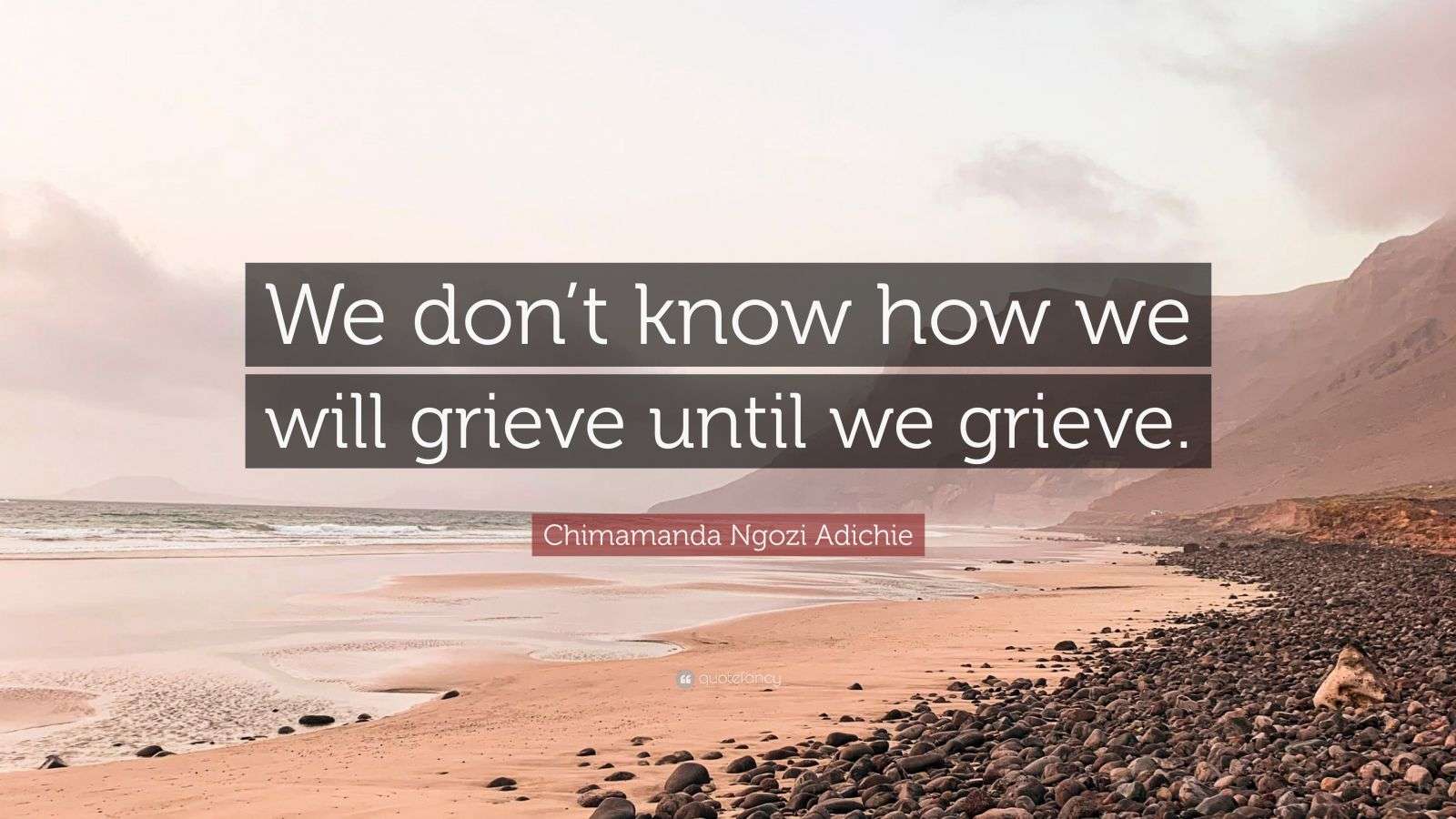 Chimamanda Ngozi Adichie Quote: “We don’t know how we will grieve until ...