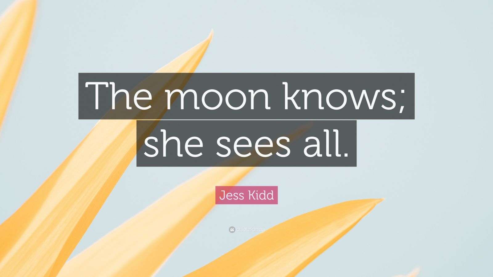 Jess Kidd Quote: “The moon knows; she sees all.”