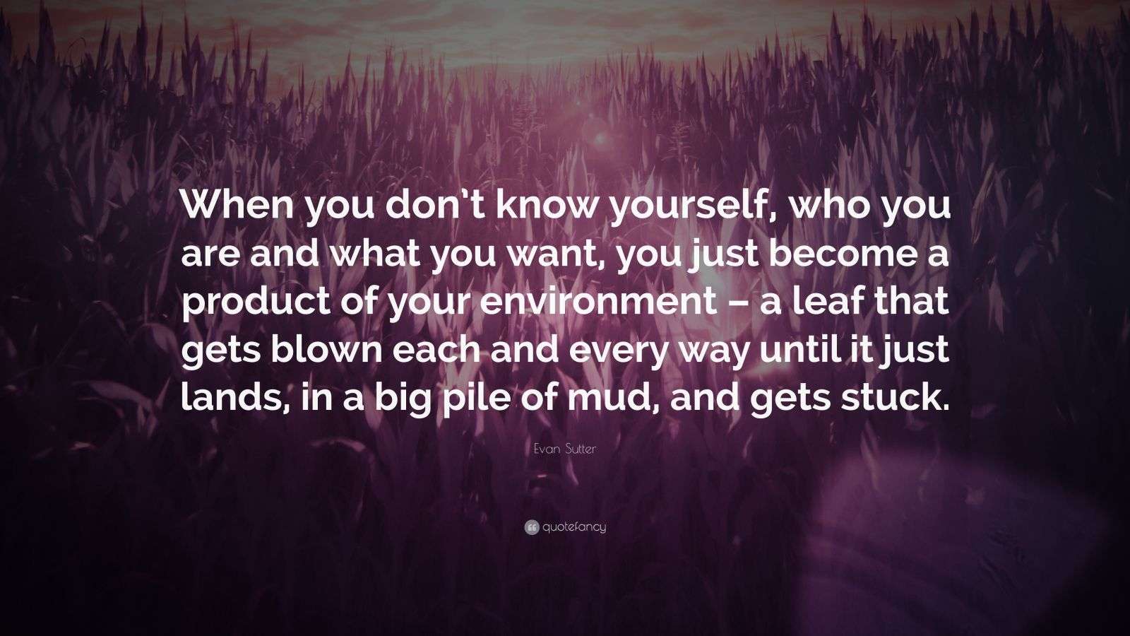 Evan Sutter Quote: “When you don’t know yourself, who you are and what ...