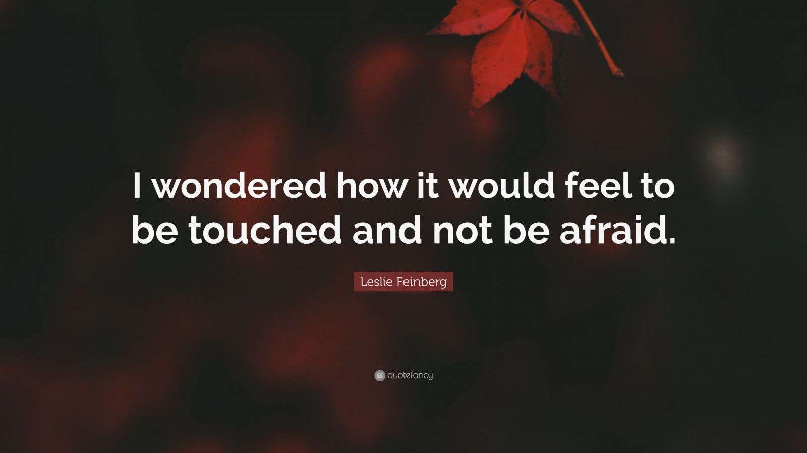 Leslie Feinberg Quote: “I wondered how it would feel to be touched and ...