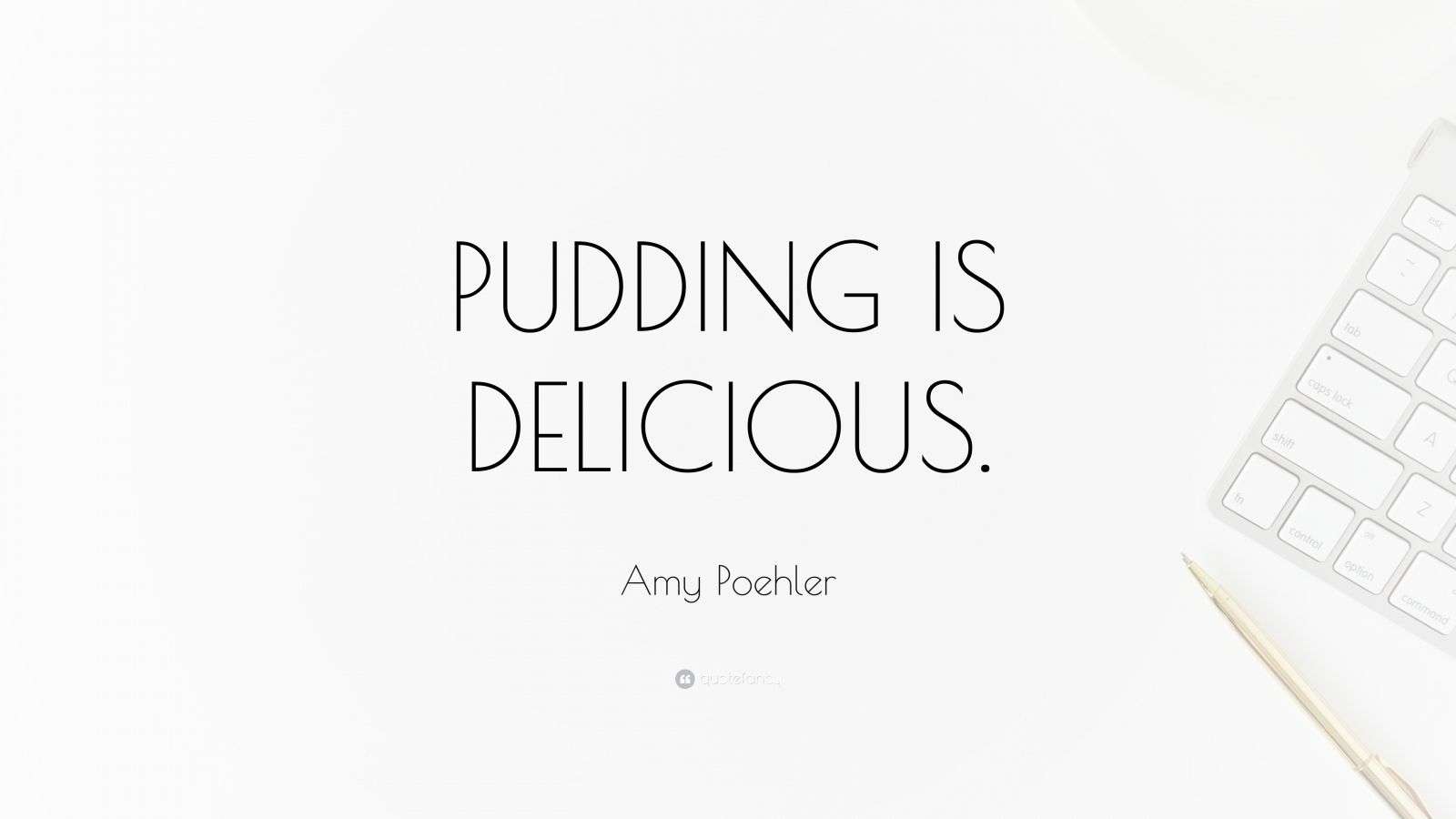 Amy Poehler Quote: “PUDDING IS DELICIOUS.”