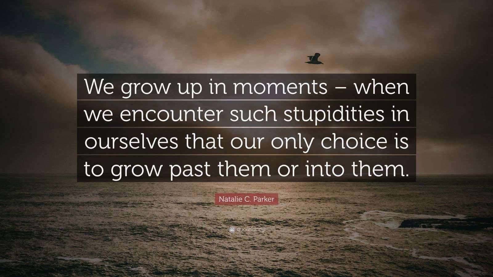 Natalie C. Parker Quote: “We grow up in moments – when we encounter ...