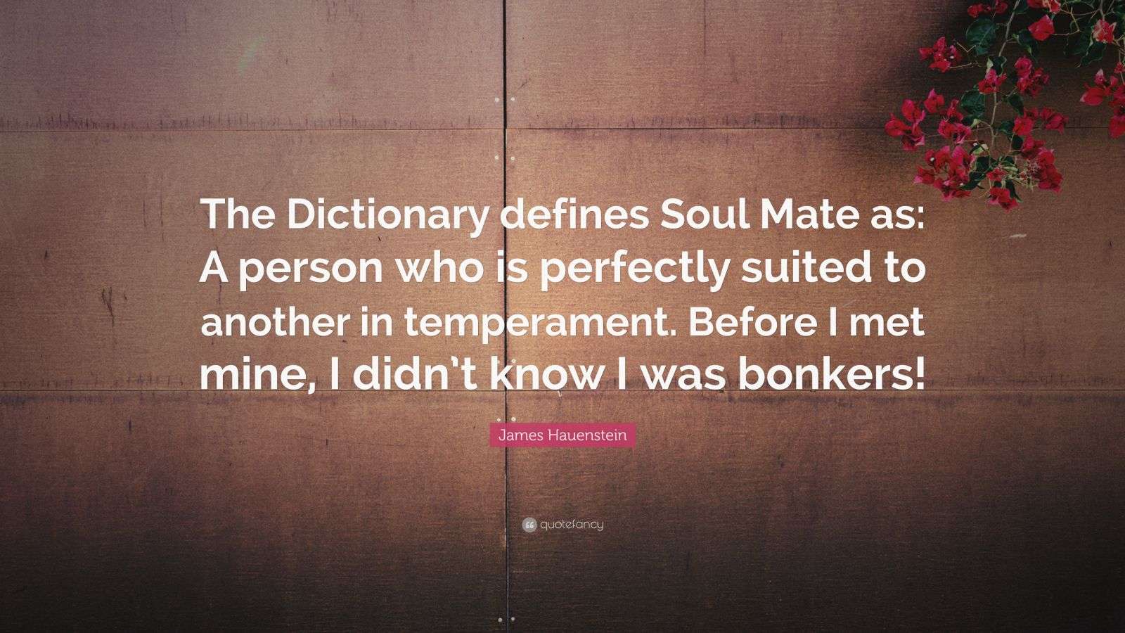 James Hauenstein Quote: “The Dictionary defines Soul Mate as: A person ...