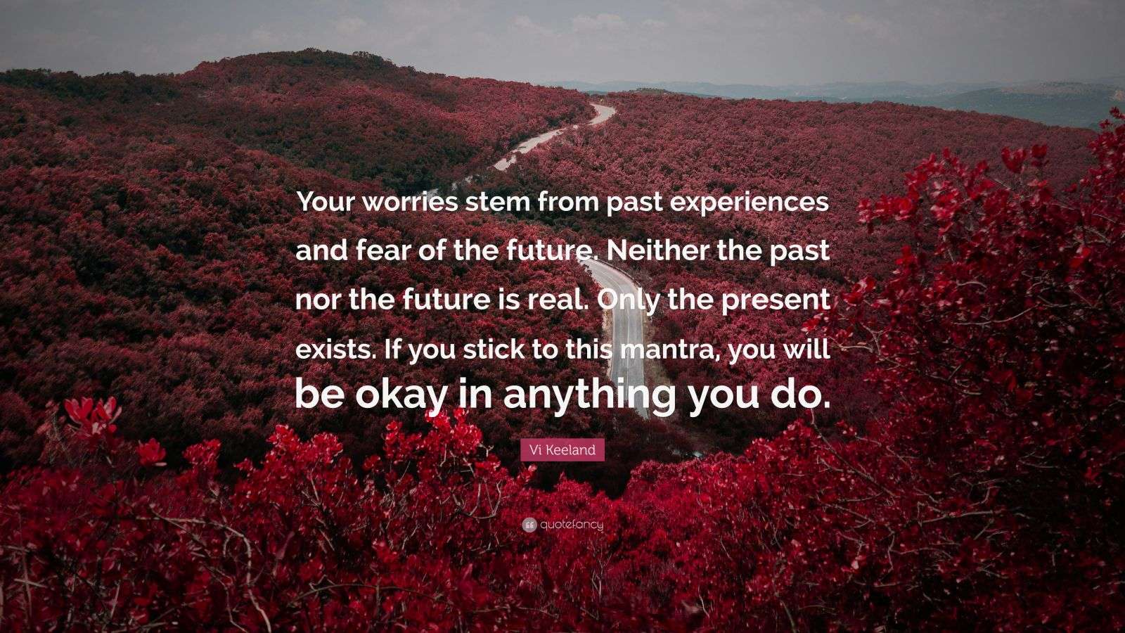 Vi Keeland Quote: “Your worries stem from past experiences and fear of ...