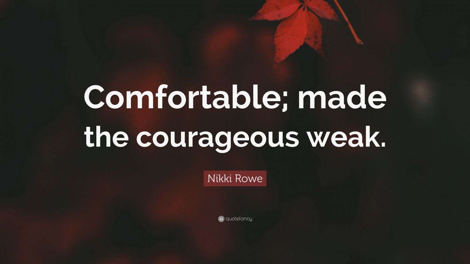 Nikki Rowe Quote: “Comfortable; made the courageous weak.”