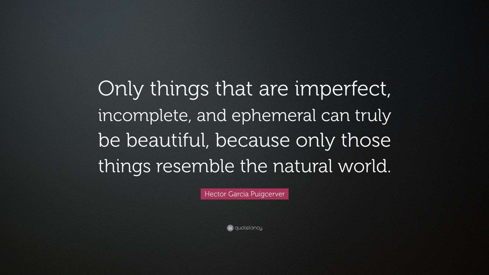 Hector Garcia Puigcerver Quote: “Only things that are imperfect ...