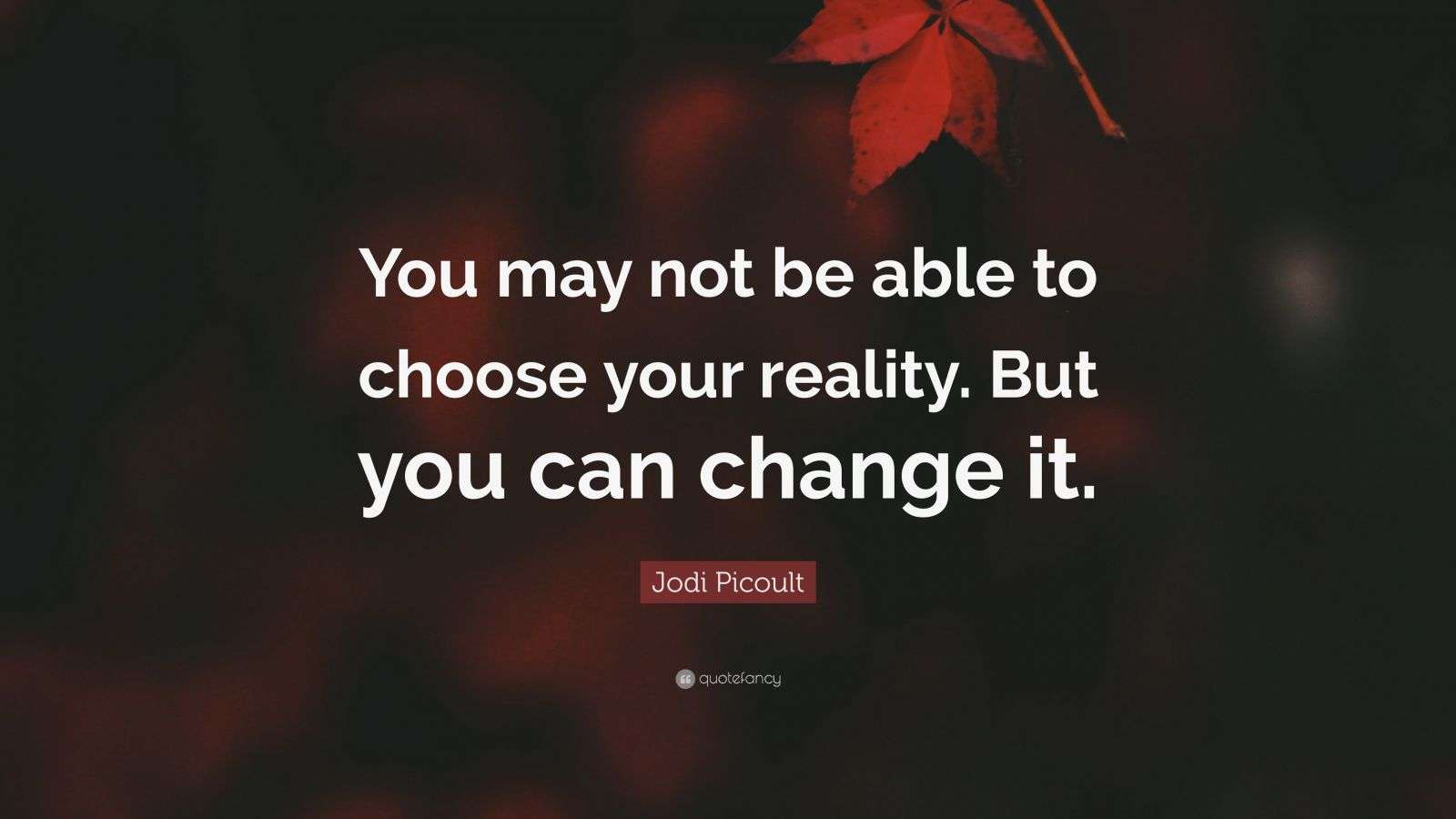 Jodi Picoult Quote: “You may not be able to choose your reality. But ...