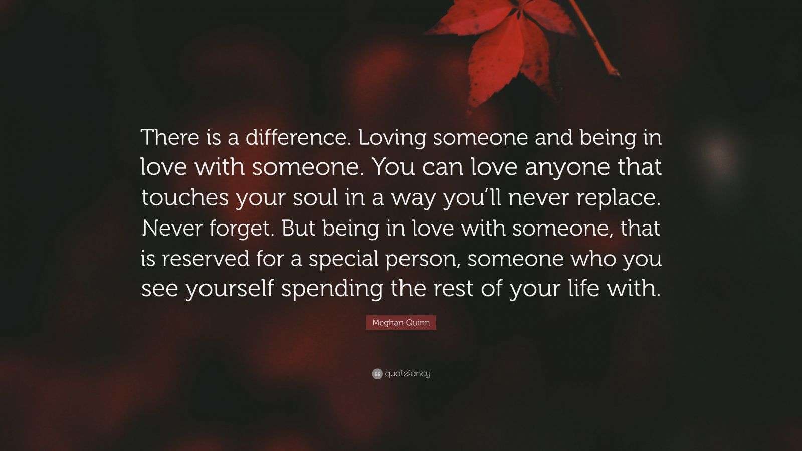 Meghan Quinn Quote: “There is a difference. Loving someone and being in ...