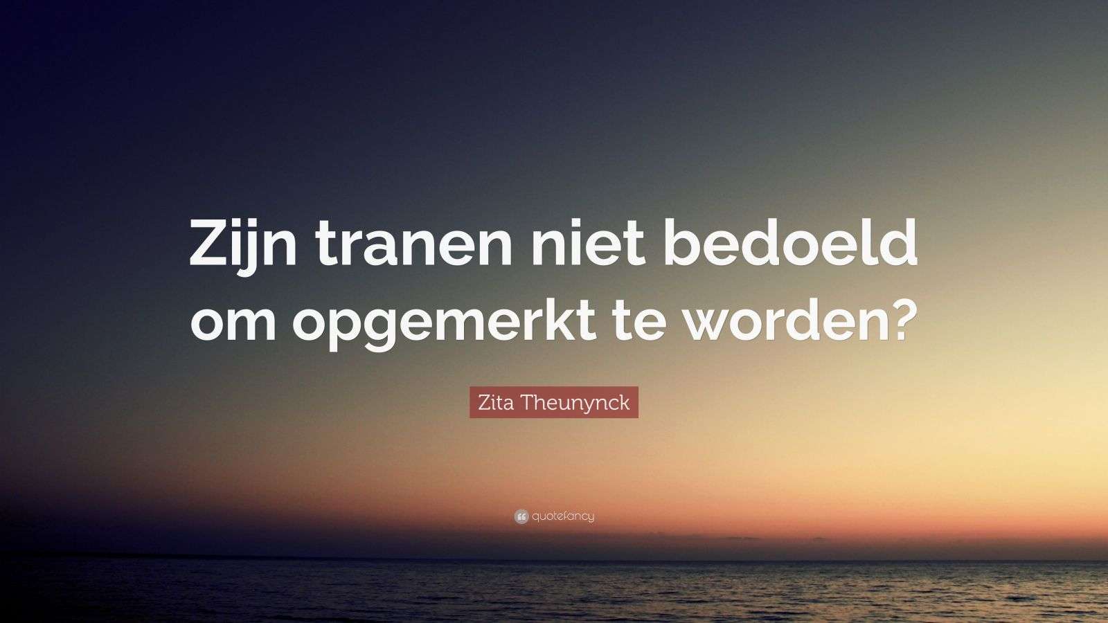 Zita Theunynck Quote: “Zijn tranen niet bedoeld om opgemerkt te worden?”