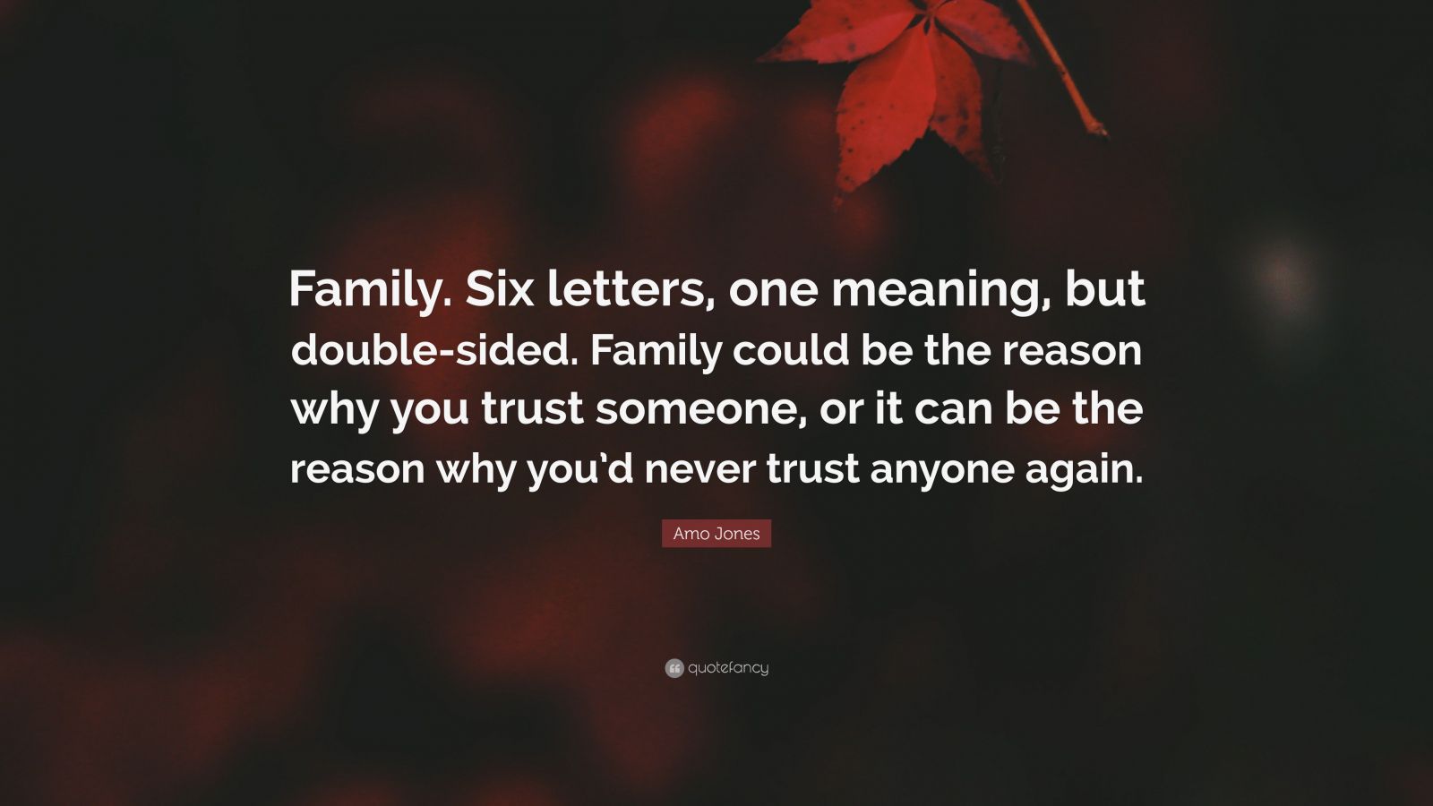 Amo Jones Quote: “Family. Six letters, one meaning, but double-sided ...