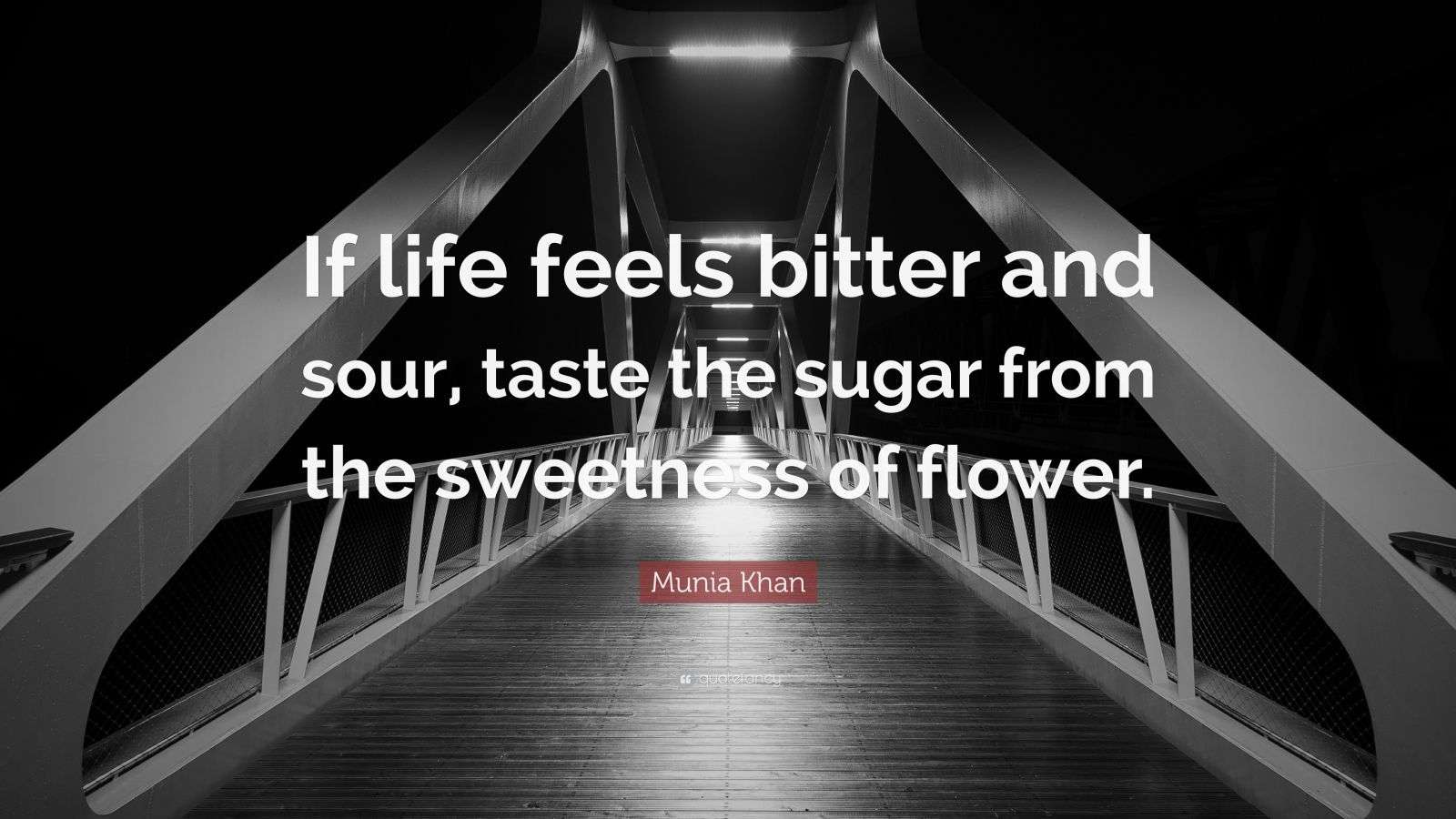Munia Khan Quote: “If life feels bitter and sour, taste the sugar from the sweetness of flower.”