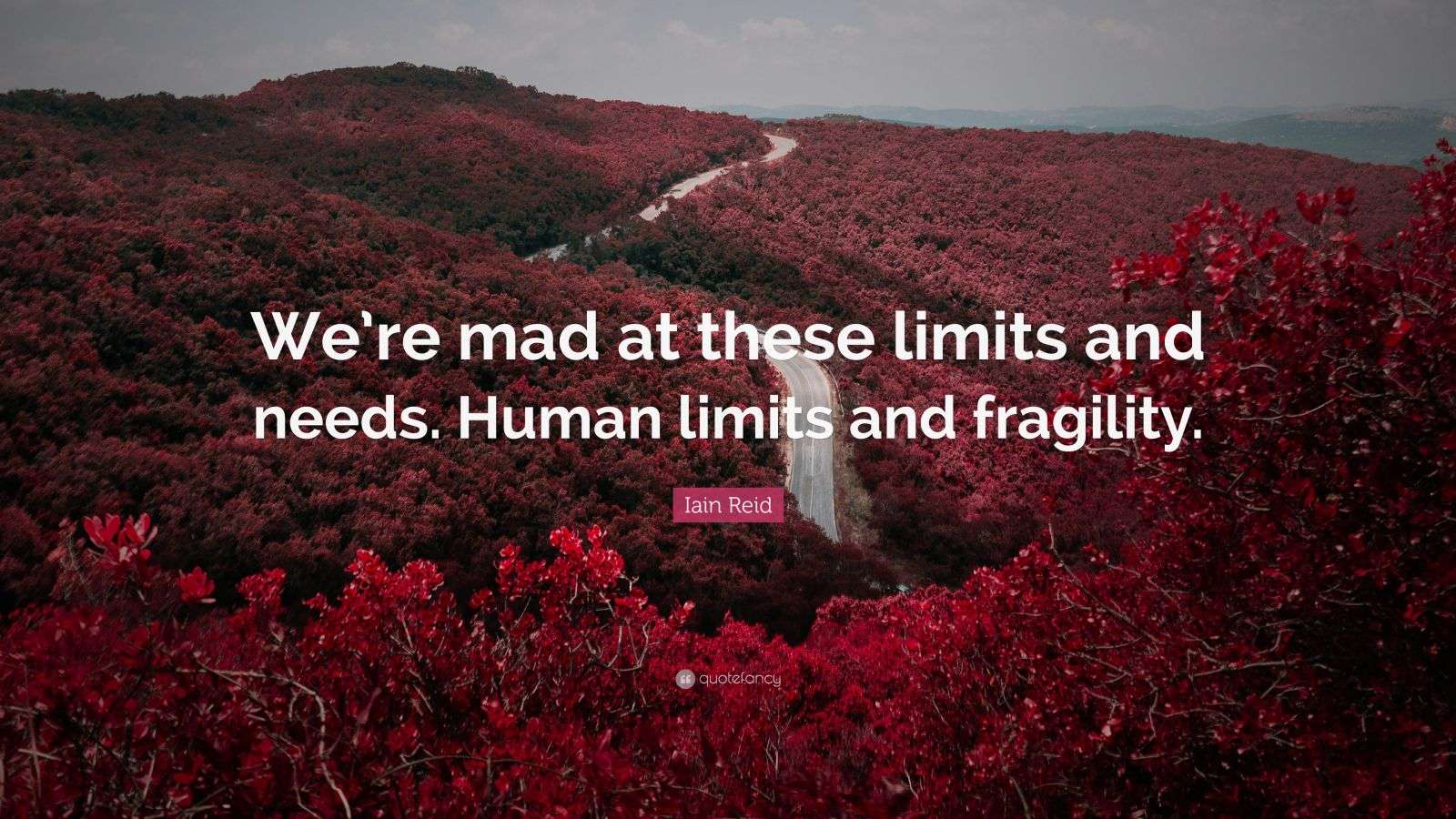 Iain Reid Quote: “We’re mad at these limits and needs. Human limits and ...