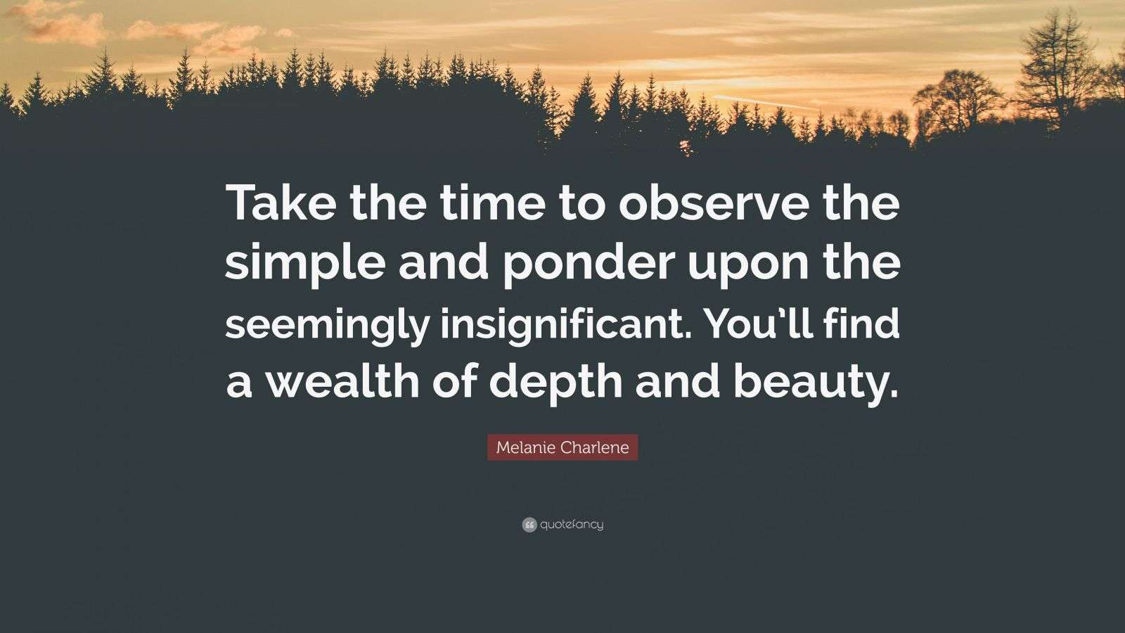 Melanie Charlene Quote: “Take the time to observe the simple and ponder ...